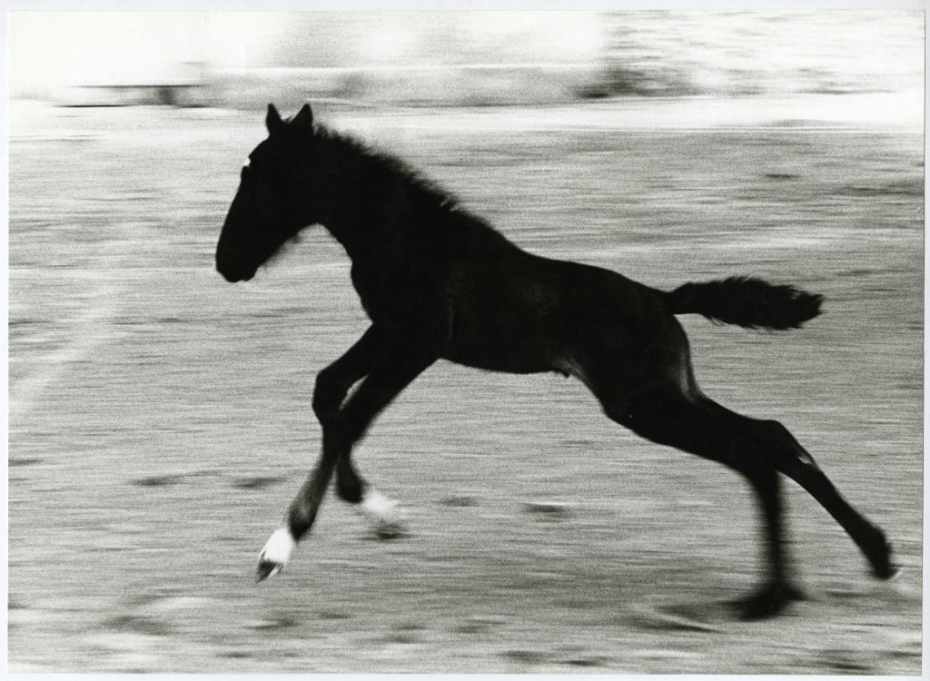 Zemřel fotograf Jan Anděl – Svaz českých fotografů